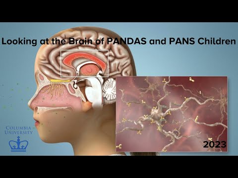 Looking at the Brain of PANDAS and PANS Children