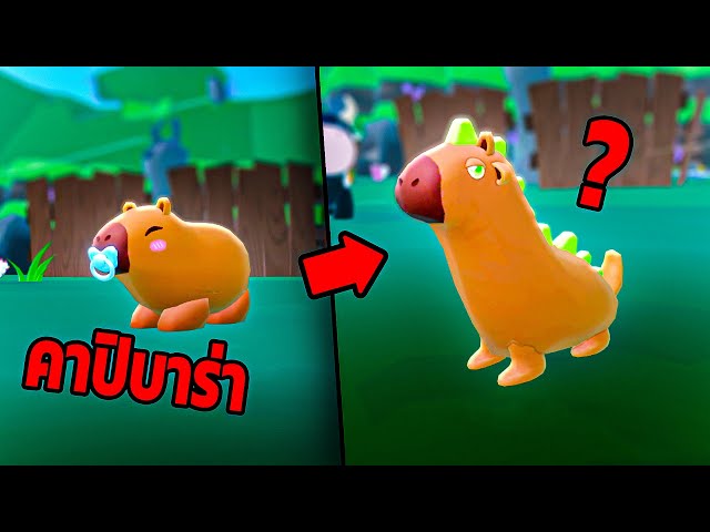 วิวัฒนาการ คาปิบาร่า สู่ ไดโนเสาร์ ใน Capybara Evolution Roblox ...