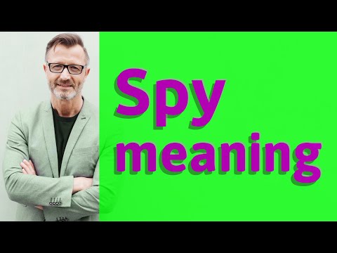 Spy | Meaning of spy