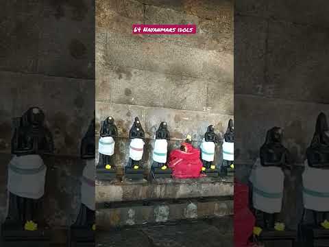 64 Nayanmars idols in Jalakandeshwarar Temple, Vellore