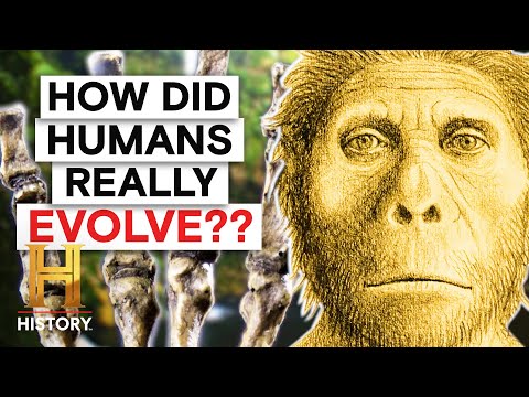 2-Million-Year-Old Fossilized Human Remains (Season 1) | Ancient Aliens: Origins