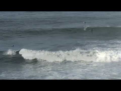 Lunada Bay Surfing - January 18, 2019