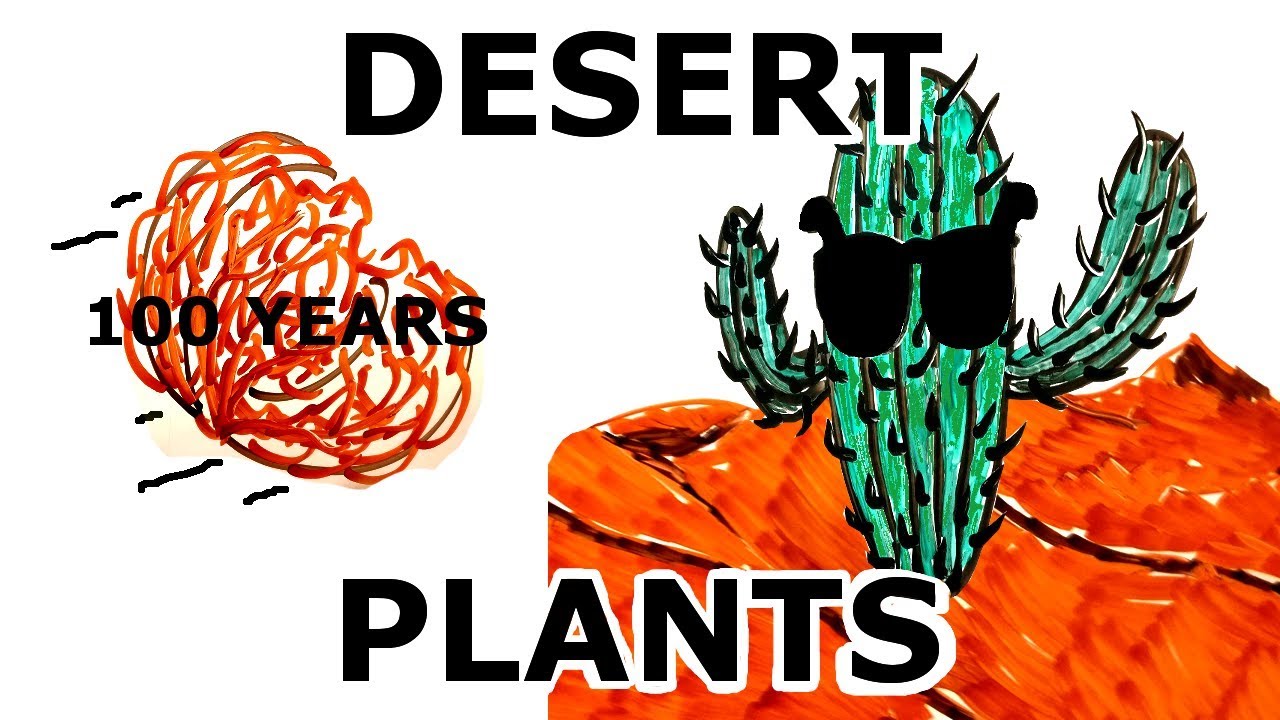 What Do DESERT PLANTS Do Differently?
