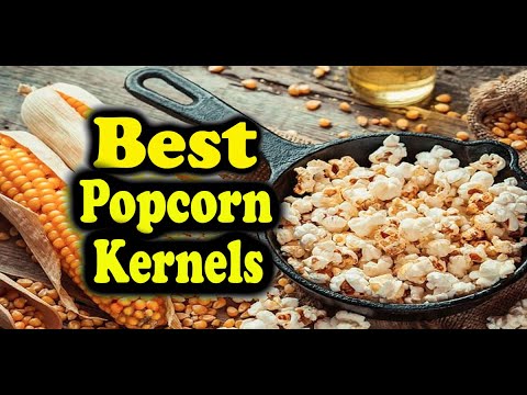 Consumer Reports Best Popcorn Kernels