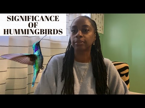 Hummingbird Spirit Guide| Connection to Mental and Emotional Health