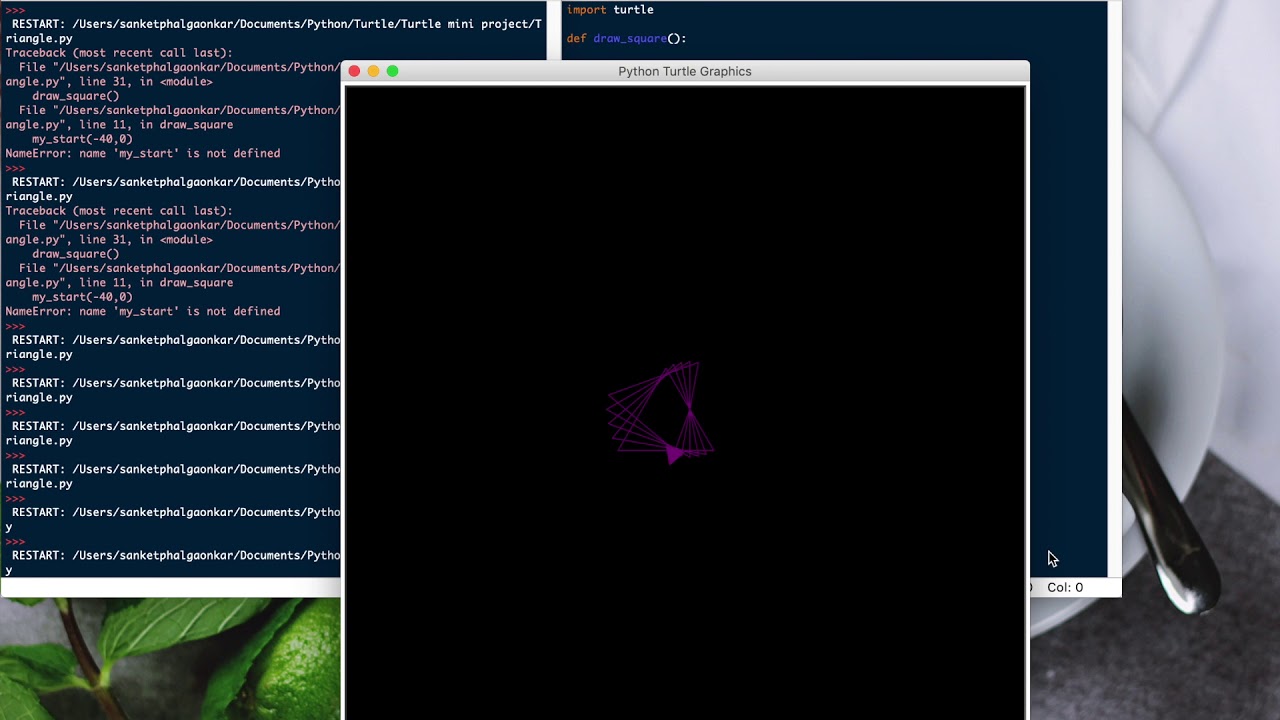 Python turtle   Triangle flower code