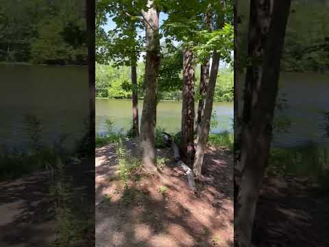 Secret fishing spot in South Carolina