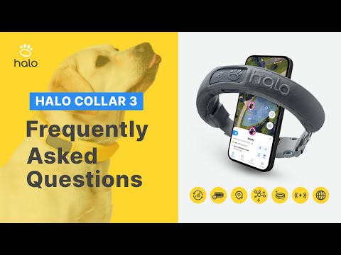 HALO COLLAR 3: FREQUENTLY ASKED QUESTIONS | NEWEST GPS DOG VIRTUAL FENCE AND TRACKER 2023