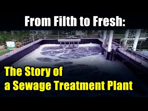 From Filth to Fresh: The Story of a Sewage Treatment Plant
