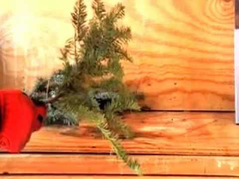 Building Product: FX Lumber Guard [1028418] | ARCAT