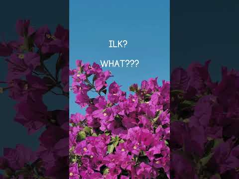 What is ILK? What does this mean? #adjective #noun #pronunciation #meaning #ilk