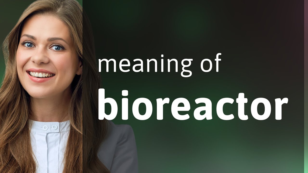 Understanding the Bioreactor: A Key to Modern Science