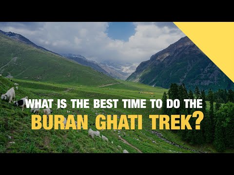 Buran Ghati Trek 2023 - Treks In Himachal Pradesh - Indiahikes