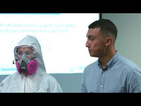 Mold Remediation