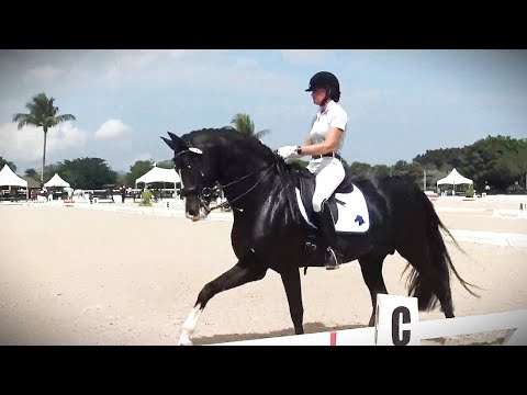 Kaiman Places 2nd at Adequan Global Dressage Festival 9 in March 2024