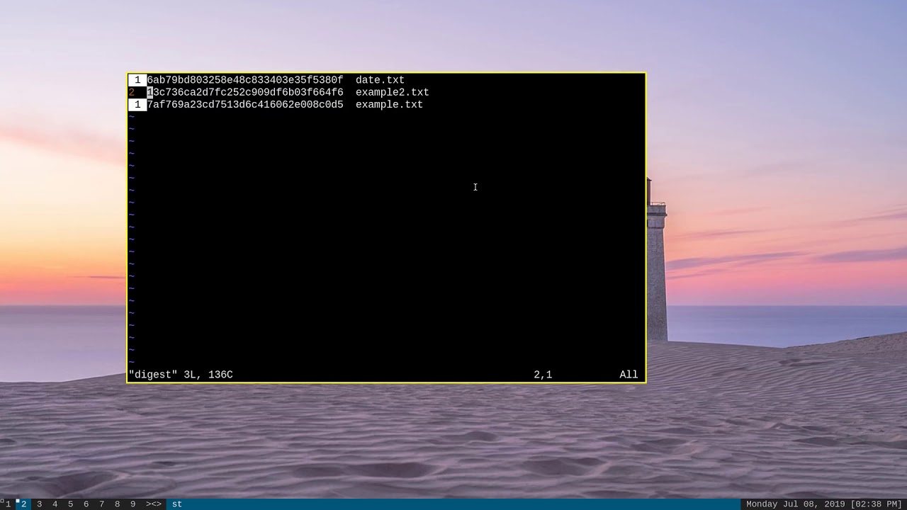 Using the md5sum Command