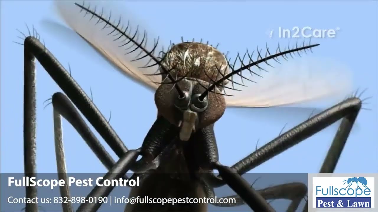 In2Care Mosquito Control Stations | FullScope Pest Control