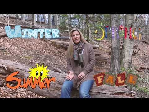 U.S. History Episode #2- Lenape Tribe: Clothing