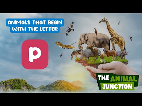Animals That Start With P | The Animal Junction