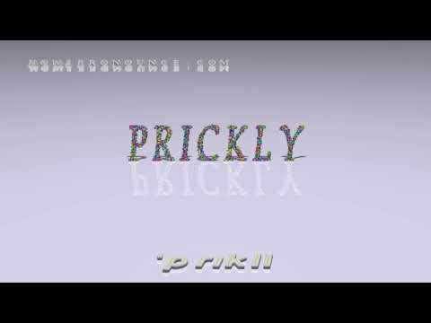 prickly - pronunciation + Examples in sentences and phrases