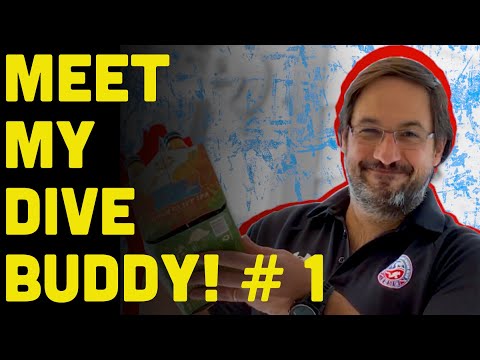 My Dive Buddies Episode 1: Alejandro Dutto's Best Wreck Dives!