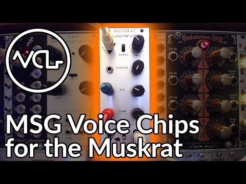 Moffenzeef Modular Muskrat Wavetable Drum Synth + MSG | Reverb