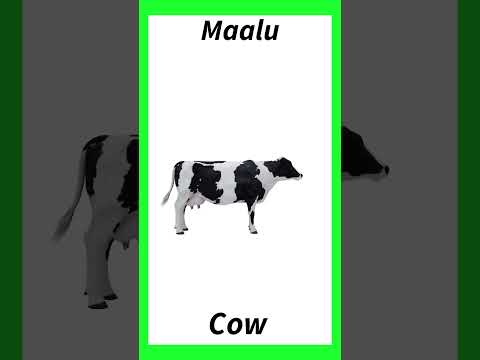 Yoruba word for cow #learnyoruba