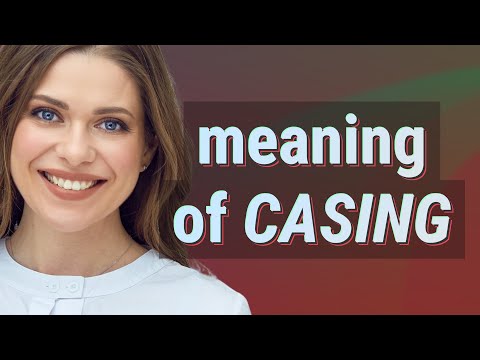 Casing | meaning of Casing