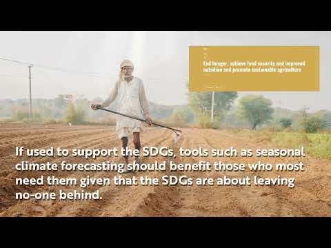 AI and the SDGs