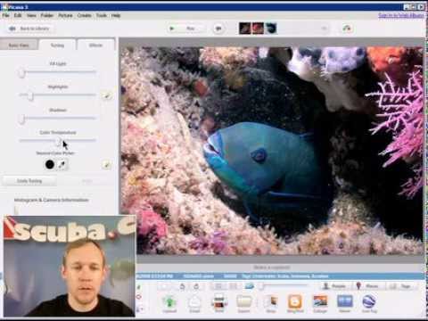 Editing Underwater Photos Using Google Picasa