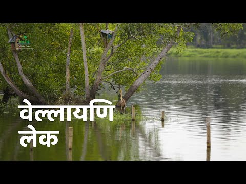 Vellayani Lake | Kerala Tourism