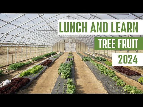 Lunch and Learn Tree Fruit Webinar 2024