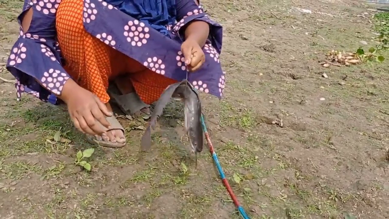 Learn How To Catch Fish From The River With Fishing Rod From This Video  Nurani Fishing