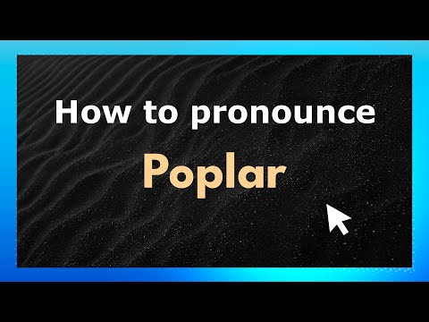 How to Pronounce Poplar (American Pronunciation / US) with Audio and Phonetic Spelling