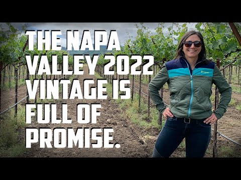 Early Report: Napa Valley's 2022 vintage is looking good! Laura Barrett of Clif Family Winery