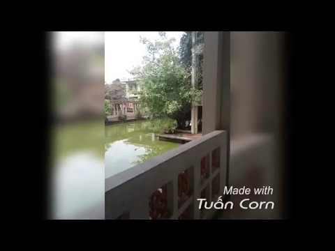 Đại học Ngoại ngữ có maaaaa | Bullshit Corner | Tuan Corn
