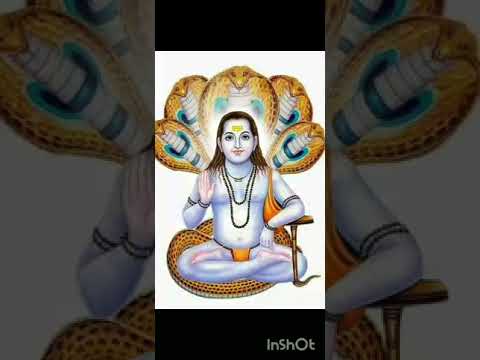 jai shree baba ji ki #babaji #gurumaharajji