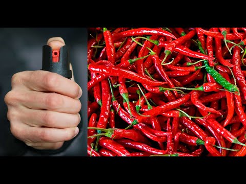 Pepper Spray Explained