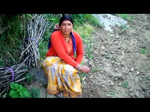 GBPEC Pauri - Admission 2026, Fees, Courses, Placement, Ranking