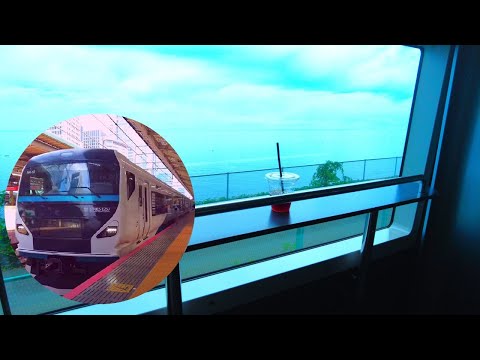 Riding on Japan’s "View of Great Ocean" Train | Izu Odoriko