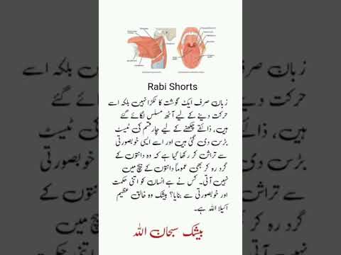 زبان صرف ایک #trendingshorts #quotes #islamic #shorts #mp3