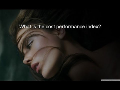 What is the cost performance index?