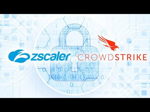 CrowdStrike’s and Zscaler’s stocks are top plays in rocky cybersecurity market, analyst says