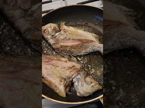 mojarras fritas puro nayarit