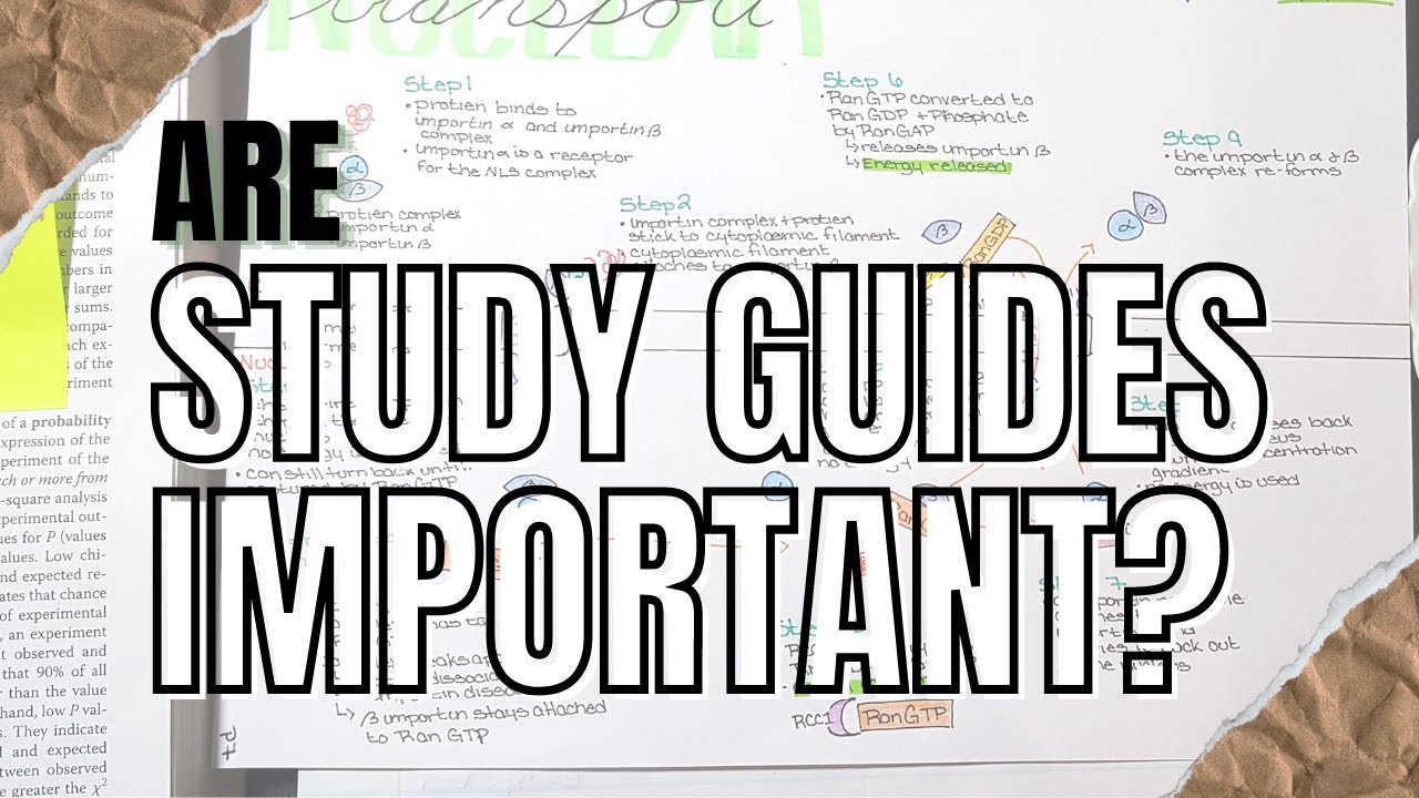 Why are Study Guides Important - Absolutely Studying