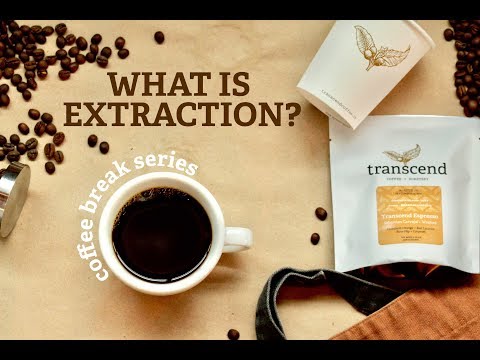 Coffee Break ep. 15 - What is extraction?