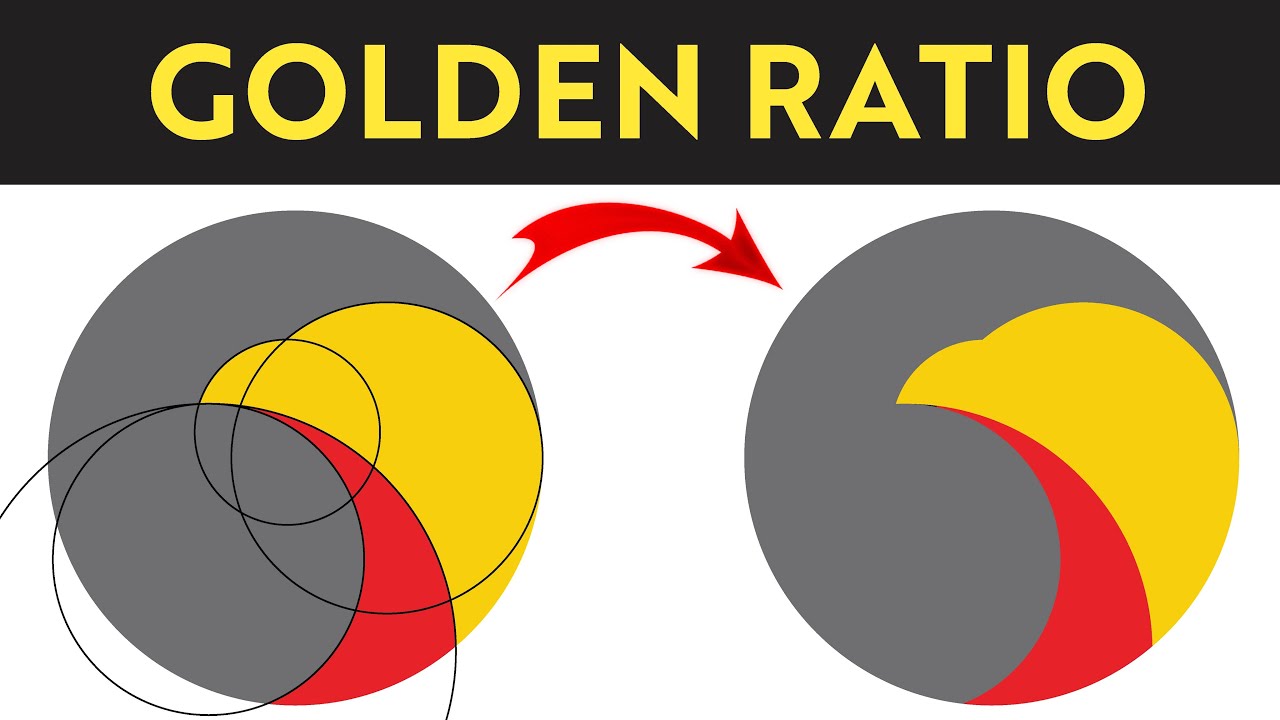 How to Create a Bird Use Golden Ratio Logo | Adobe Illustrator Tutorial