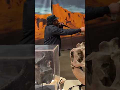 Jurassic Quest  Dinosaur Experience