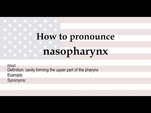nasopharynx