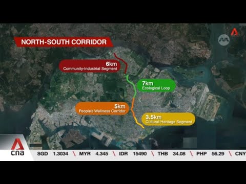 North-South Corridor Masterplan: Ideas include public space in Rochor, nature-based areas in AMK